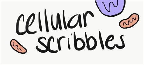 Cell Cartoons Can You Spot The Granulocytes They Are Kind Of Big And