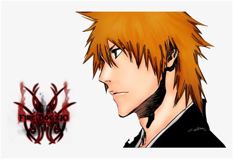 Kurosaki Ichigo Long