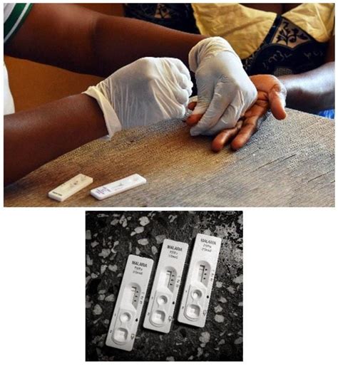 Malaria Detection And Identification