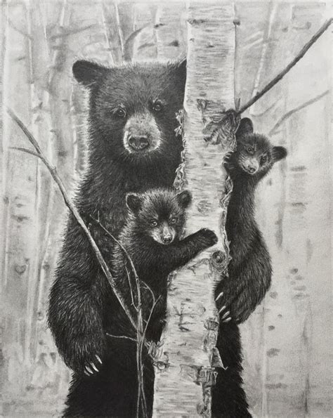 Original Pencil Drawing Of Bears Grizzly Bear Home Decor Etsy Canada