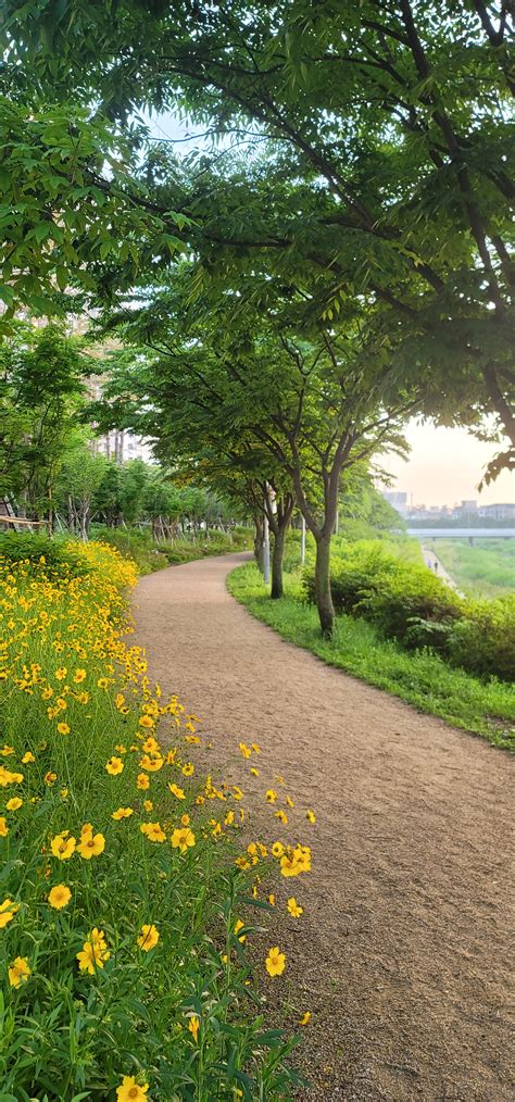나의 힘이신 여호와여 내가 주를 사랑하나이다 [시 18편 큐티]