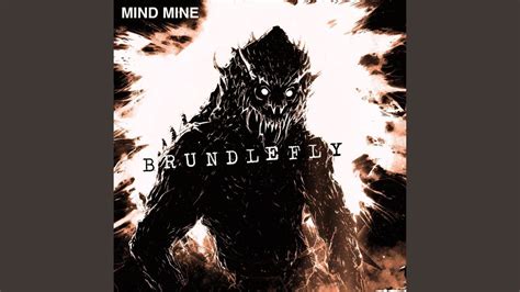 Brundlefly Youtube