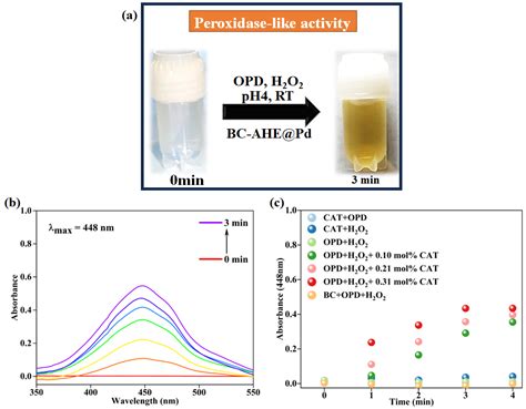 Molecules Free Full Text Palladium Nanoparticles Grafted Onto