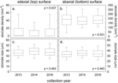 Box Plots Showing Stomatal Density A B And Stomatal Size C D On