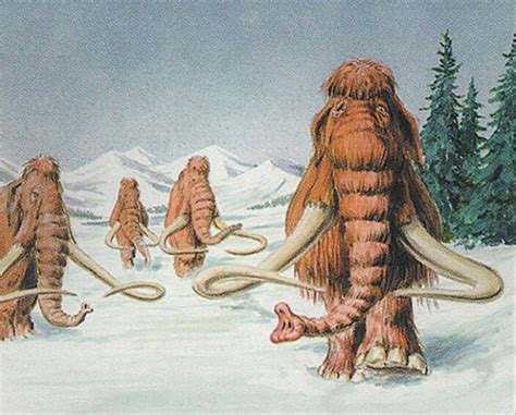 Woolly Mammoths Magic The Gathering Mtg Cards
