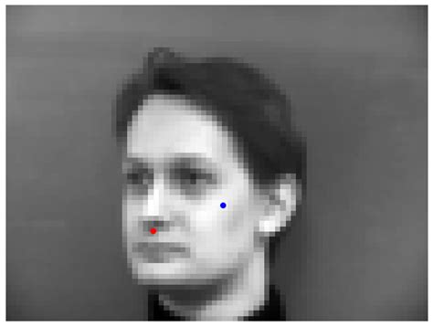Part 2 Full Facial Keypoints Detection