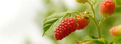 Да спрем екоцида Снимката сама говори за себе си Нека дадем права на Земята Гласувайте срещу