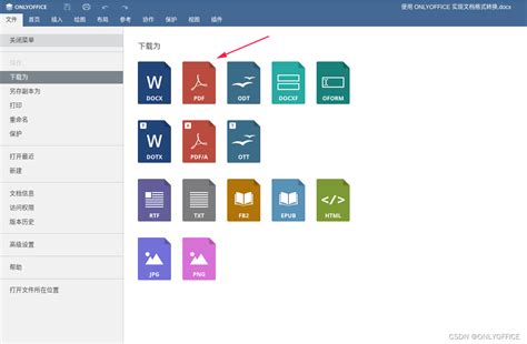 使用 Onlyoffice Api 构建 Java 转换器，在 Word 和 Pdf 之间进行转换onlyoffice Convert Csdn博客