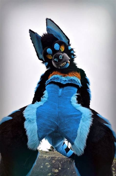 Fursuit Wallpapers Top Free Fursuit Backgrounds Wallpaperaccess