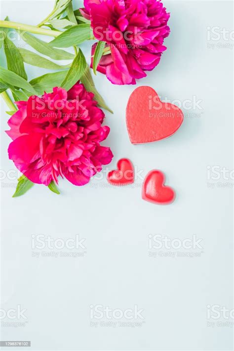 밝은 배경에 빨간 모란과 붉은 마음이 발렌타인 데이 구성 결혼식에 대한 스톡 사진 및 기타 이미지 결혼식 구도 꼭대기 Istock