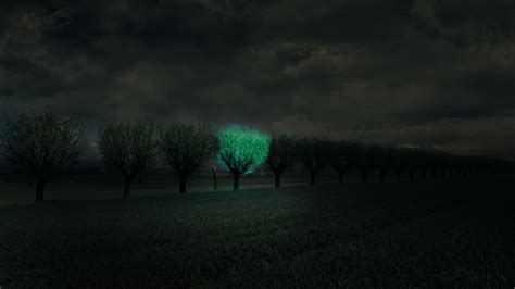 Movie Swap Streetlights With Luminous Trees Daan Roosegaarde