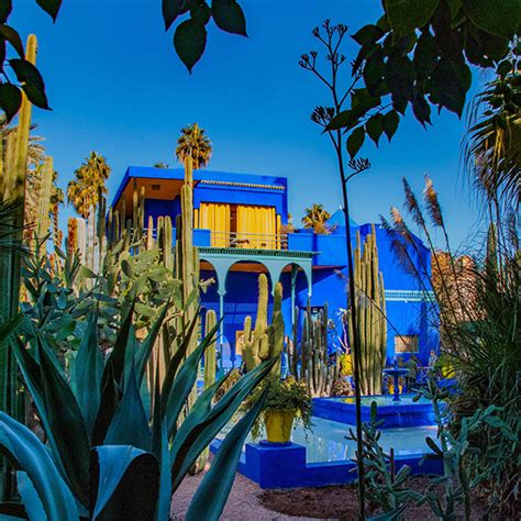 Australia S Biggest Online Plant Nursery Garden Centre Near Me