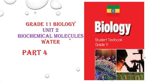 11ኛ ክፍል ባዮሎጂ Grade 11 Biology Unit 2 Part 4 Youtube