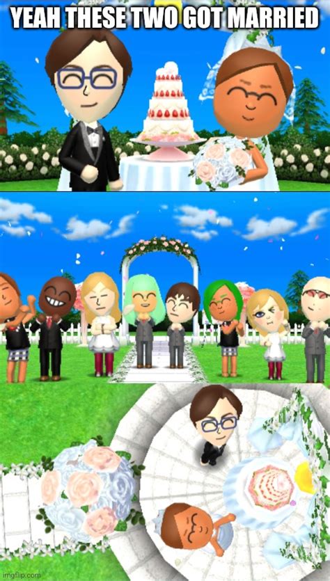 Ill Probably Make A Mii Stream To Not Annoy The Mods Of The Stream