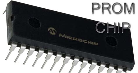 Programmable Read Only Memory