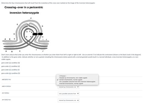 Solved Question 1match The Karyotype Image To Its Proper