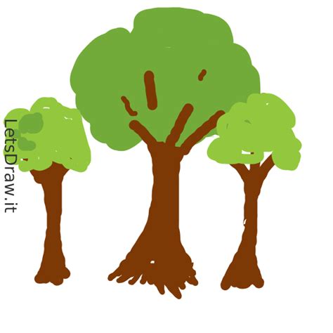How To Draw Trees Uwfwxzkpu Png LetsDrawIt