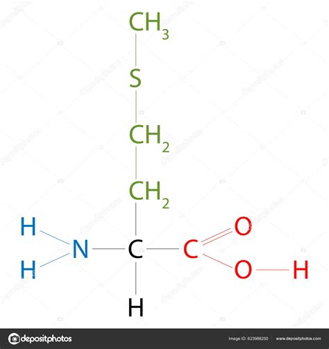 Structure Methionine Methionine Amino Acid Has Methyl Thioether Side