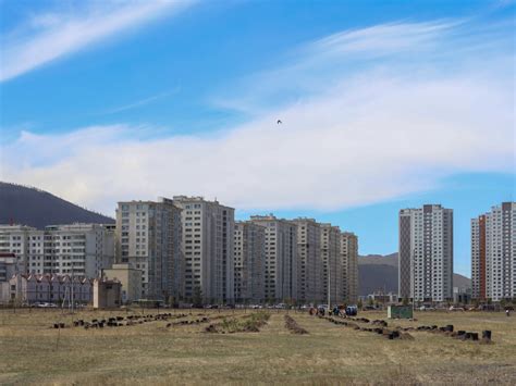 Үндэсний цэцэрлэгт хүрээлэнд 2600 орчим модны суулгац тарилаа Isee Mn