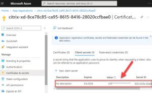 Azure Hosting Connections In Citrix DaaS Service Deep Dive Dennis Span