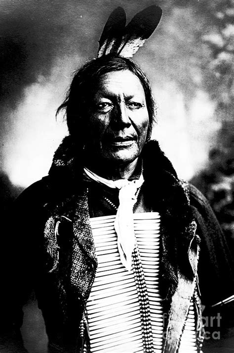 Did Native Americans Have Beards