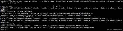 Docker 简单搭建hadoop环境docker Hadoop单机最简单的搭建 Csdn博客