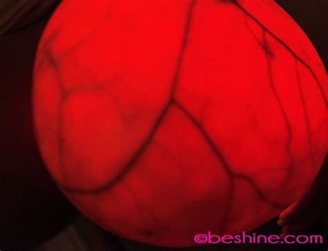 Inspectorquatch Tumblr Com Tumbex