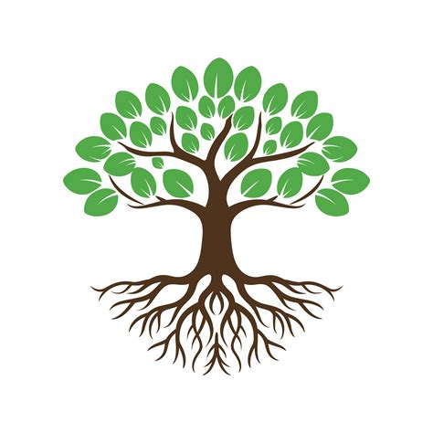 Tree With Roots Vector Illustration 38011048 Vector Art At Vecteezy