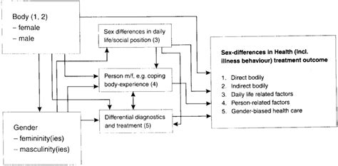 The Multi Facet Gender And Health Model Download Scientific Diagram