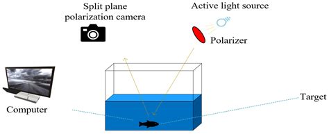 underwater degraded image restoration by joint evaluation and