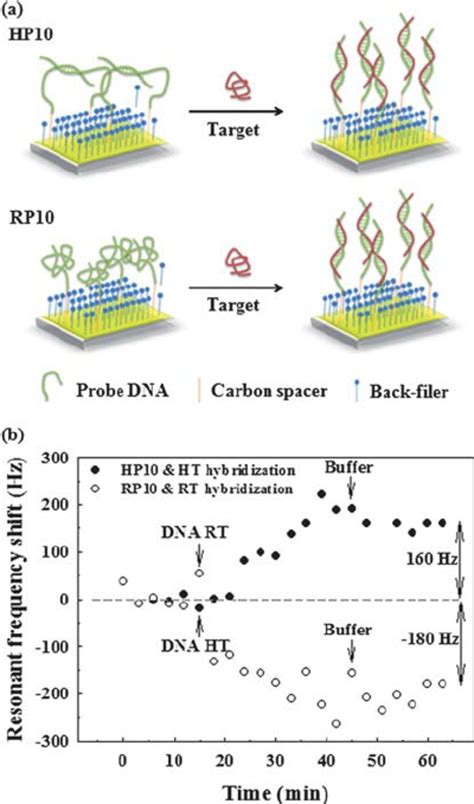 Control Experiment Set 1 Sequence Effect A Schematic Diagram Of