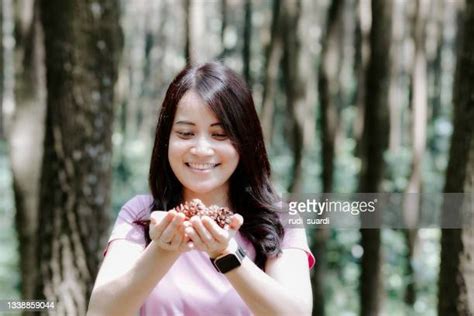 Conifer Seedlings Photos And Premium High Res Pictures Getty Images