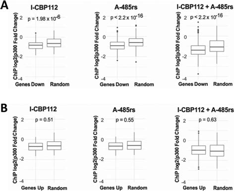 Correlation Between ChIP Seq And RNA Seq Data A Box And Whisker Download Scientific Diagram