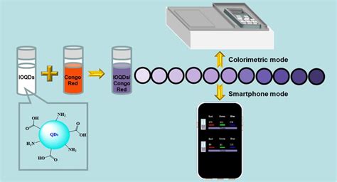 Colorimetric And Smartphone Based Dual Mode Rapid Detection Of Congo Red Using Iron Oxide