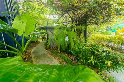 รวมภาพ 4 น้ำมาแล้ว ที่ชะอม รีสอร์ท ที่พัก ริมลำธาร ติดแอร์ มีน้ำอุ่น มีอ่างอาบน้ำ มีดาดฟ้า มีสระ