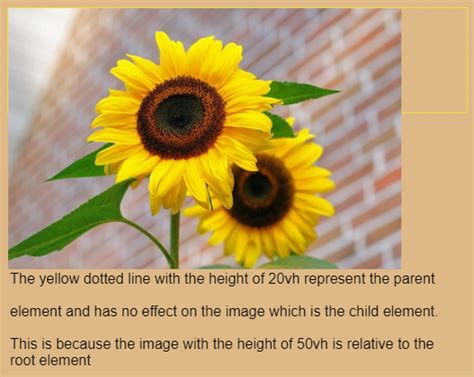 The Best Css Unit For A Responsive Design Hackernoon