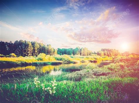 강과 숲 여름 풍경 농촌 자연 강과 숲 여름 풍경 사진 배경 및 무료 다운로드를위한 그림 Pngtree