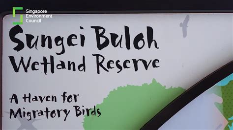 Singapore Environment Council Sec On Linkedin Singapores Wetlands Are A Key Ecosystem That