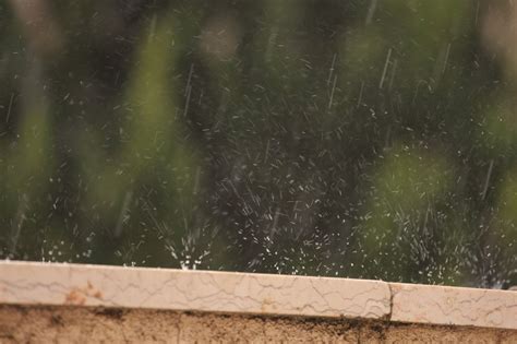 겨울로 향하는 빗소리