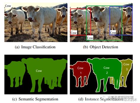 计算机视觉研究院 One Shot都嫌多，zero Shot实例样本分割one Shot Zero Shot Csdn博客