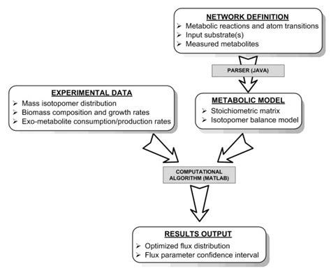 Workflow Of OpenFLUX The Software Consists Of Components Shaded
