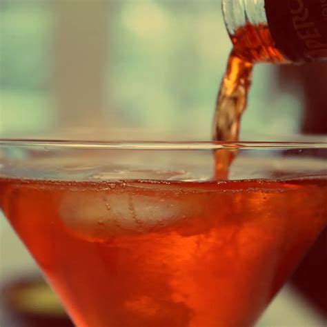 10 Best Stemless Martini Glasses Reviewed In 2024 Thegearhunt