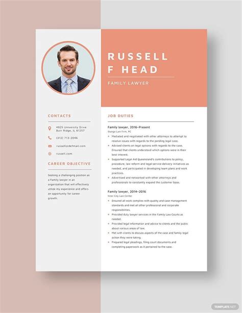 Basic Criminal Lawyer Resume In Publisher Word Illustrator Pages