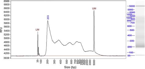 Figure2 Example Result From Fragment Analysis Of Atac Seq Library
