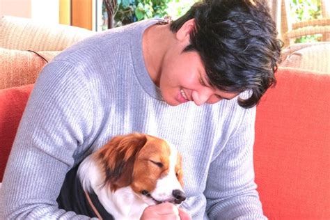 大谷翔平の愛犬デコピンが破壊したぬいぐるみにパワプロプロスピ公式が反応頑丈でワンちゃんと遊びやすいパワプロくんの準備を