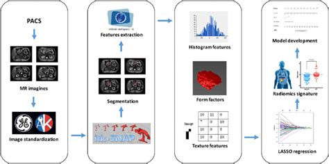 Workflow Of The Development Of The Radiomic Signature Download Scientific Diagram