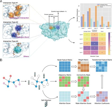 Mm Drpnet A Multimodal Dynamic Radial Partitioning Network For Enhanced Proteinligand Binding