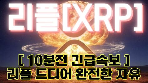 리플 드디어 모든 규제에 자유로워지다 리플 리플코인 리플전망 Youtube
