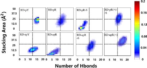 Effective Stacking Area Versus Effective Hydrogen Bond Number For The