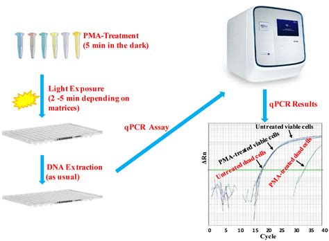 Frontiers Advances And Challenges In Viability Detection Of Foodborne Pathogens